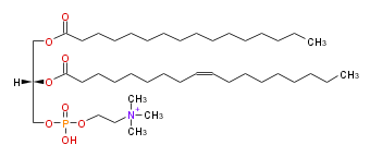 LBGPCccp:16000SC01:18109SC01:YB2PHb001 - lipidbank_wiki